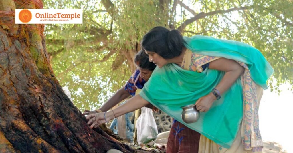 Peepal Puja Remedies: Proper Way to Offer Water to Peepal Tree
